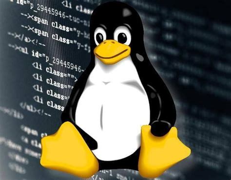 Linux系统中如何查看操作系统信息：详细指南 不念博客