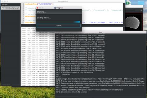 Help Writing Script With Qupath Image Analysis Imagesc Forum