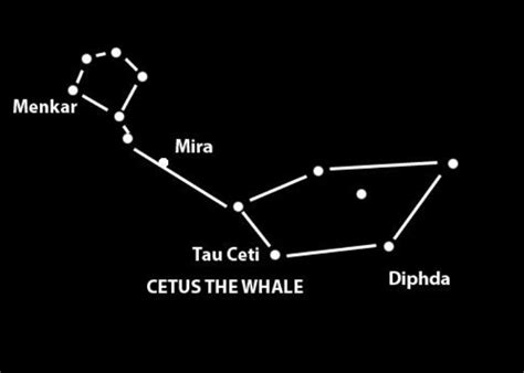 Cetus Constellation Myth