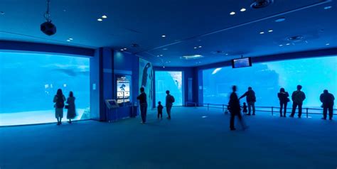 名古屋港水族館ホームページ