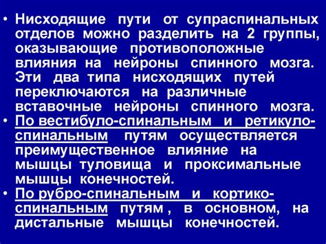 Частная физиология ЦНС презентация онлайн