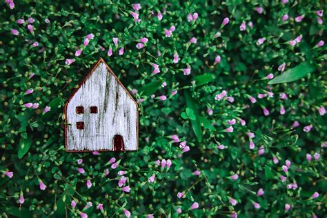 What Are Some Sustainable Housing Options