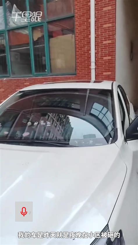 【湖北】女子称车停在小区被人砸，物业称与他们没关系：不止一次出现这种情况
