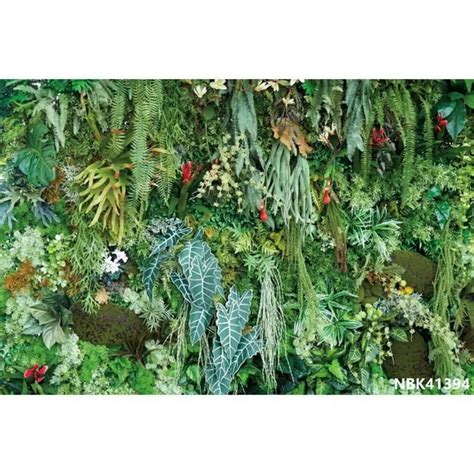 Birthday Photo Backgrounds Green Grass Wall Tropical Plants Leaves