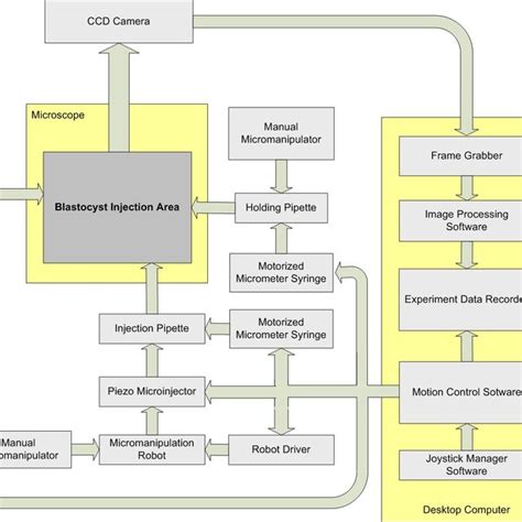 2 The Microinjection System Configuration Download Scientific Diagram