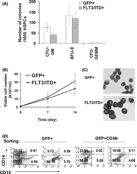 FLT3 ITD Expression Partially Blocks The Granulocytic Monocytic Download Scientific Diagram