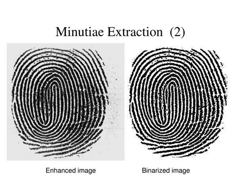 Ppt Automatic Fingerprint Matching System Powerpoint Presentation Free Download Id3852528