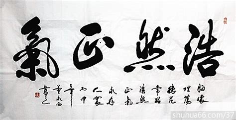 浩然正气图片大全 浩然正气意境图片 浩然正气图片头像 第6页 大山谷图库