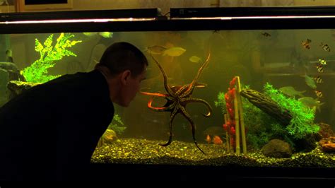 New Oldboy Photos Tease Hammer And Octopus Scenes