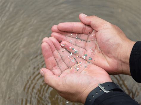 Microplastics In Drinking Water What Are The Human Health Risks
