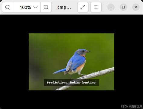 逐行解析mobilenetv3：详细架构介绍与代码实现全解读（pytorch实现）mobilenetv3网络框架 Csdn博客