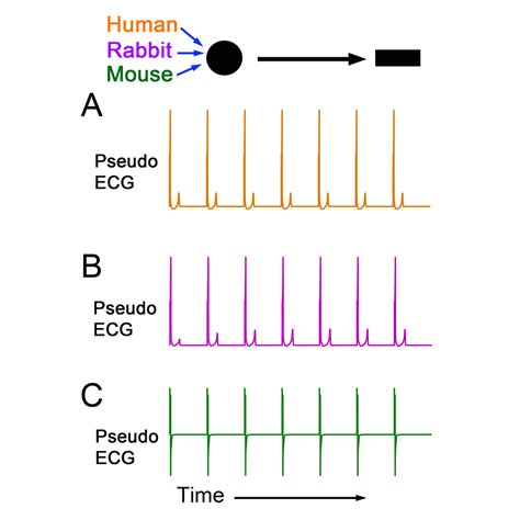 A Demonstration Of Modularity Reuse Reproducibility Portability And Scalability For Modeling