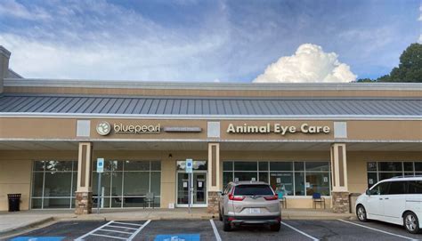 Bluepearl Pet Sports Medicine And Rehabilitation Cary Nc Specialty Vet