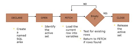 Plsql Cursors Oracle Applicatons