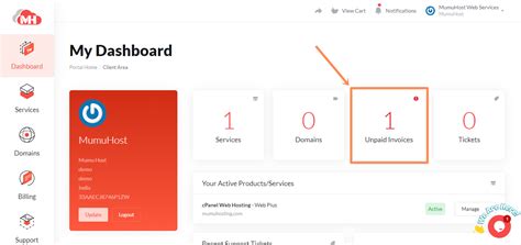 How To Pay An Invoice From MumuHost Client Area MumuHost