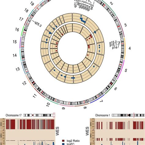 Gsva Analysis Showed Pathway Levelgene Set Activity Differences