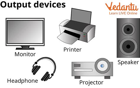 What Are Computer Output Devices And Their Functions At Alexis Hoff Blog