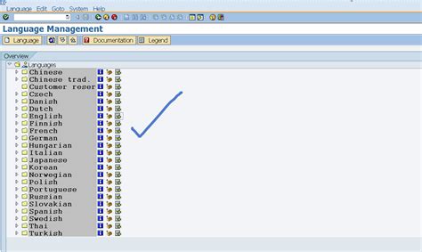 Different Languages Installed In Sap System Sapcodes