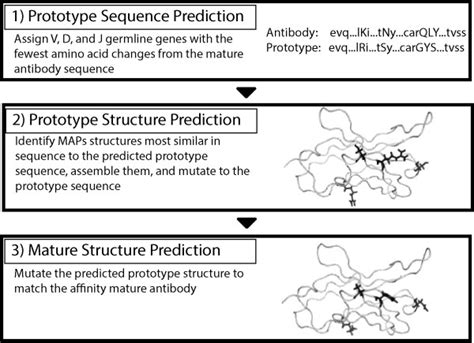 Maps Antibody Structure Prediction Workflow The Maps Database Can Be
