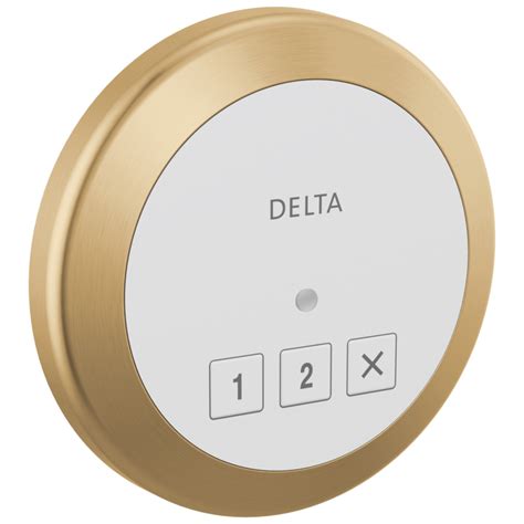 Delta Universal Showering Components Round Exterior Steam Control