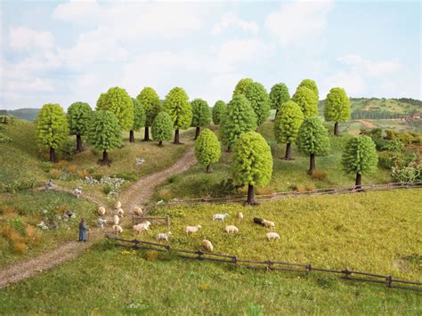 Deciduous Trees Model Tree Noch Noch