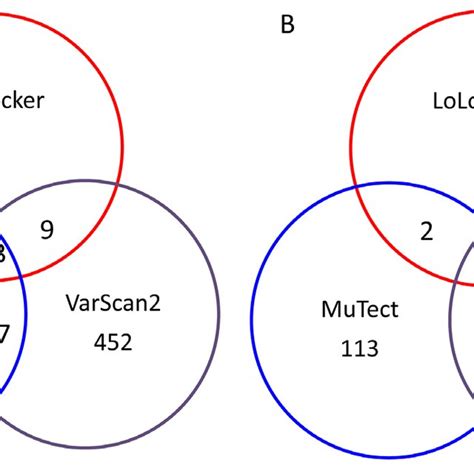 Snapshot Of Igv Showing Tp53 Mutation P R174x In Gbm 9 And Its
