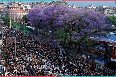 Rato Matsyendranath Rath Yatra Commences Photo Feature Nepal Views