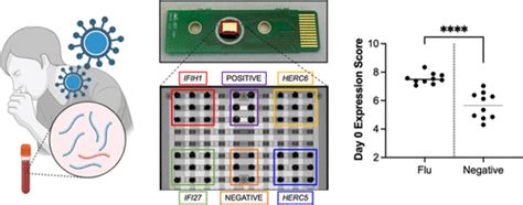 Rapid Point Of Care Host Based Gene Expression Diagnostics Using Giant