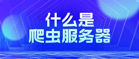什么是爬虫代理服务器 巨量IP代理
