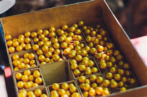 페인트 볼 익스트림 스포츠 장비 총알 여러 가지 빛깔의 공 0명에 대한 스톡 사진 및 기타 이미지 0명 과립 구 Istock