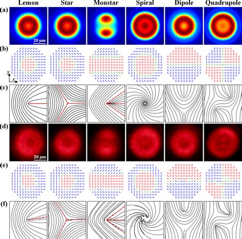 A Simulated Intensity Distributions B Polarization Ellipse Download Scientific Diagram
