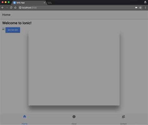 Camera Pwabrowser With Pwa Elements 0012 Wrong Gray Overlay Not