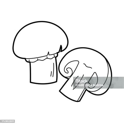 버섯 샴 피뇽 벡터 검정 흰색 윤곽선 그림입니다 어린이 색칠하기 책의 디자인 요소 또는 페이지 Championship에 대한