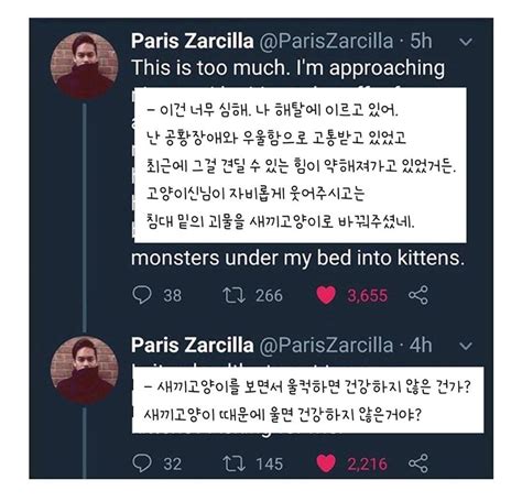 우울증 걸린 사람집에 고양이가 들어옴 인스티즈 Instiz 이슈 카테고리