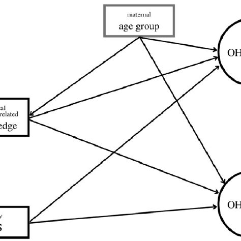 Conceptual Framework Of Study Variables Adapted From Revised Wilson