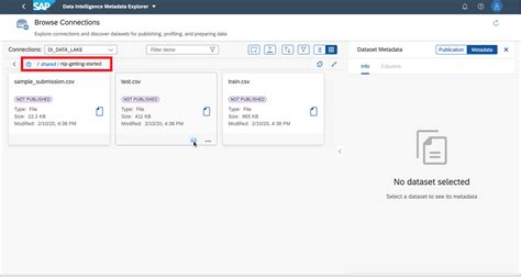 Sap Data Intelligence The Difference Between Loc Sap Community