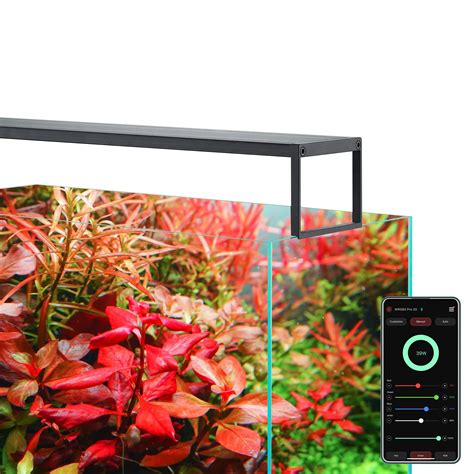 Chihiros Wrgb2 Pro - Sun Aquarium Sự lựa chọn hoàn hảo.