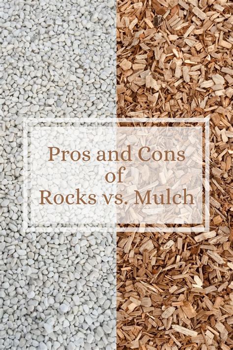 Pros And Cons Of Rocks Vs Mulch In Landscaping