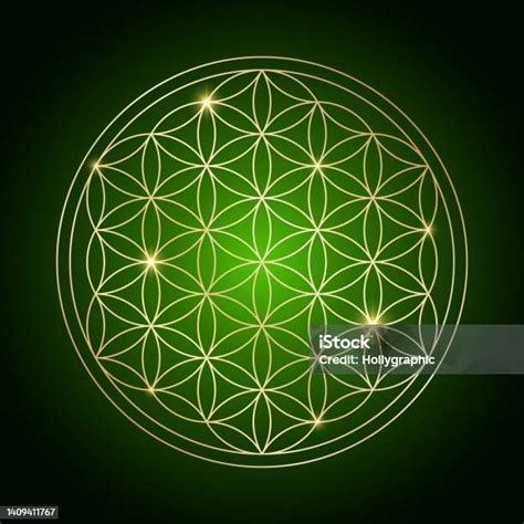 Symbole Ésotérique De La Fleur De Vie Illustration Vectorielle Vecteurs