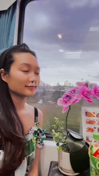 Stella Nguyen On Linkedin Vietnamesetrain Train Railwaysystem