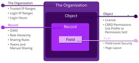 Focus On Force Admin Exam 201 Flash Cards Flashcards Quizlet