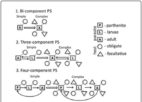 Scheme Of Parasitic System A Bi Component B Threecomponent C Four