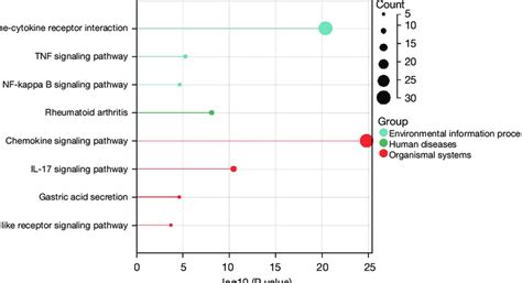 KEGG Enrichment Analysis The Abscissa Represents The P Value And The