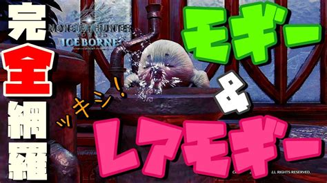 【mhwi】氷雪地帯含む導きの地モギー＆レアモギーの全て！全地帯別周回ルートと生態を完全網羅【モンハンワールド：アイスボーン】 Youtube