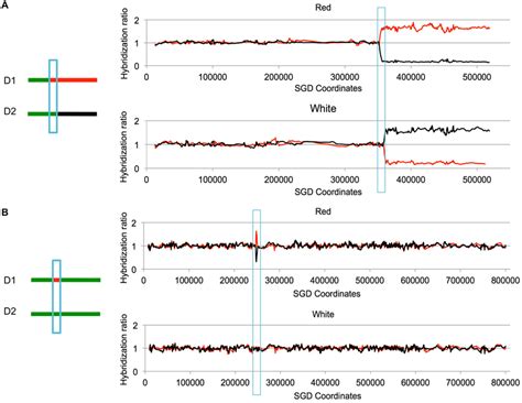 Examples Of Loh Events As Detected By Snp Microarrays Cells Were