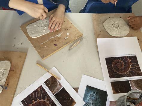 Falkner House Year 3 Fossils Falkner House