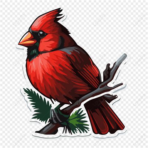 추기경 새 스티커 일러스트 1 클립 아트 벡터상표 Png 일러스트 무료 다운로드 Lovepik
