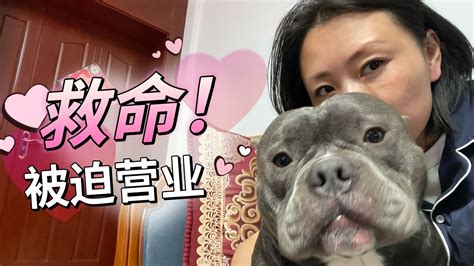 财哥的夺命连环吻。恶霸犬 Youtube