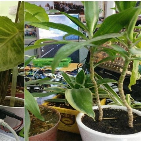 Microbit Robot With Arduino Board And Sensors Download Scientific Diagram