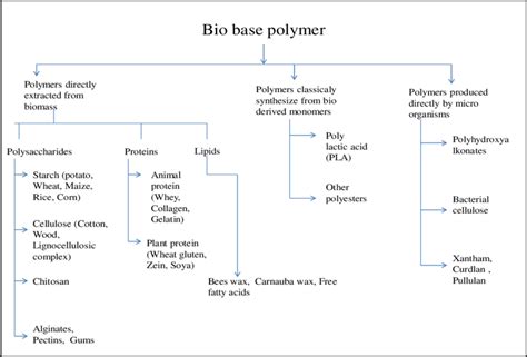 Classifications Of Bio Polymers Download Scientific Diagram